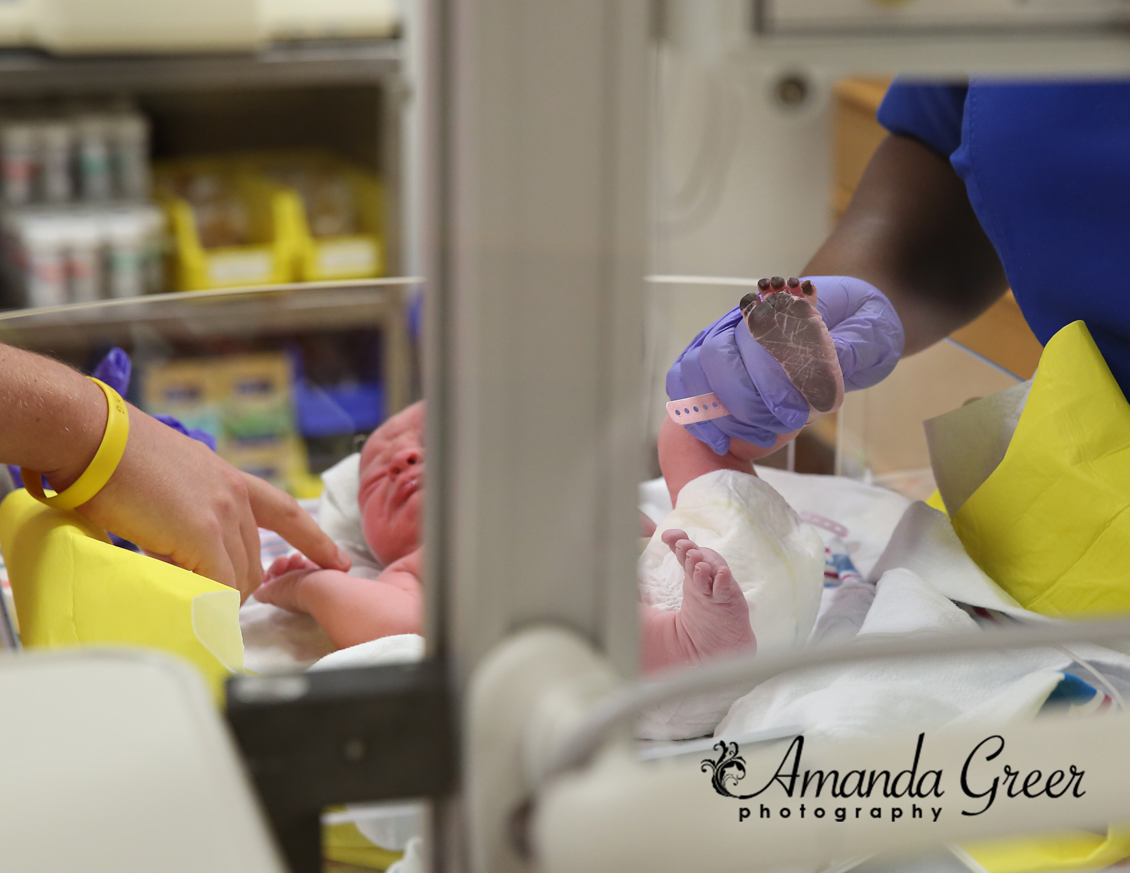 tatum 101 wm – Amanda Greer Photography